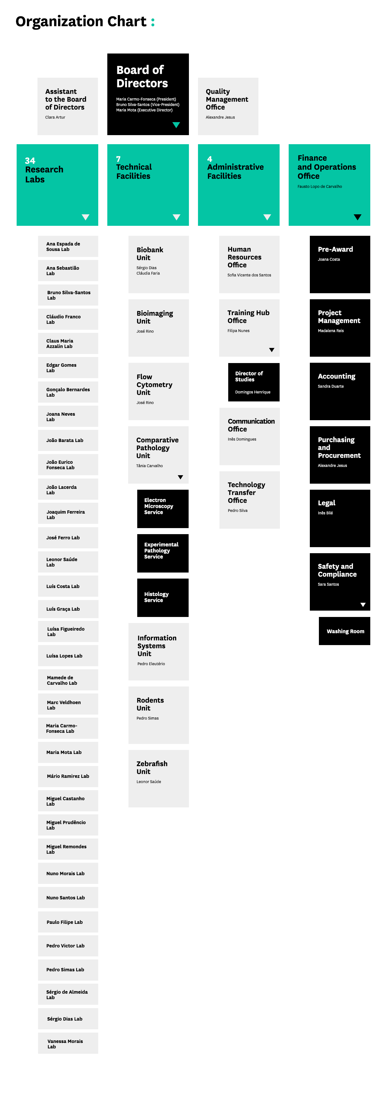 Organization Chart - iMM