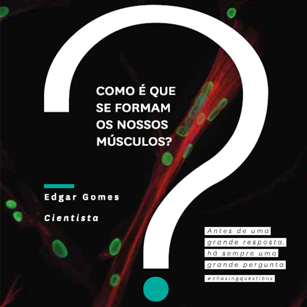 Chasing Questions | Edgar Gomes - iMM