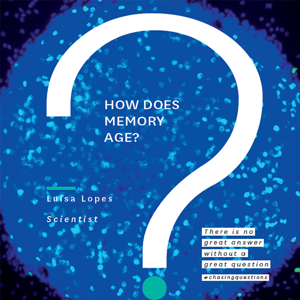 Chasing Questions | Luísa Lopes - iMM