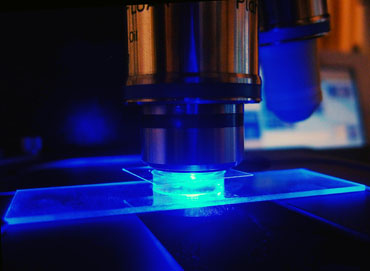 Bioimaging Unit - iMM