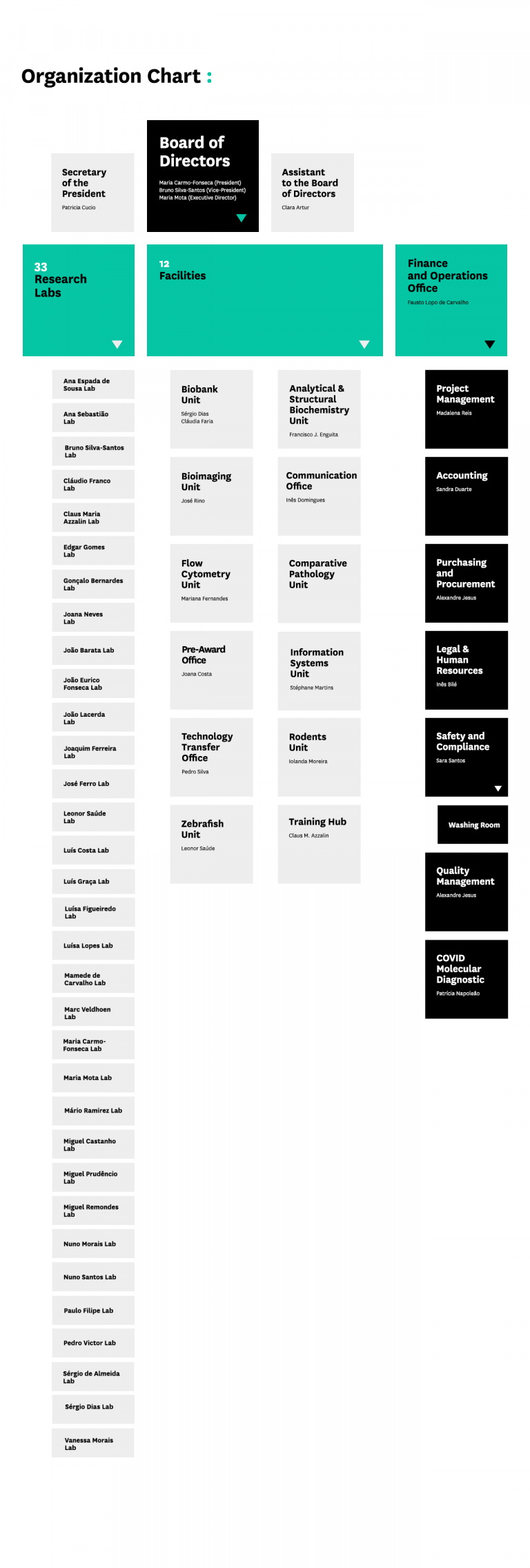 Organization Chart - iMM